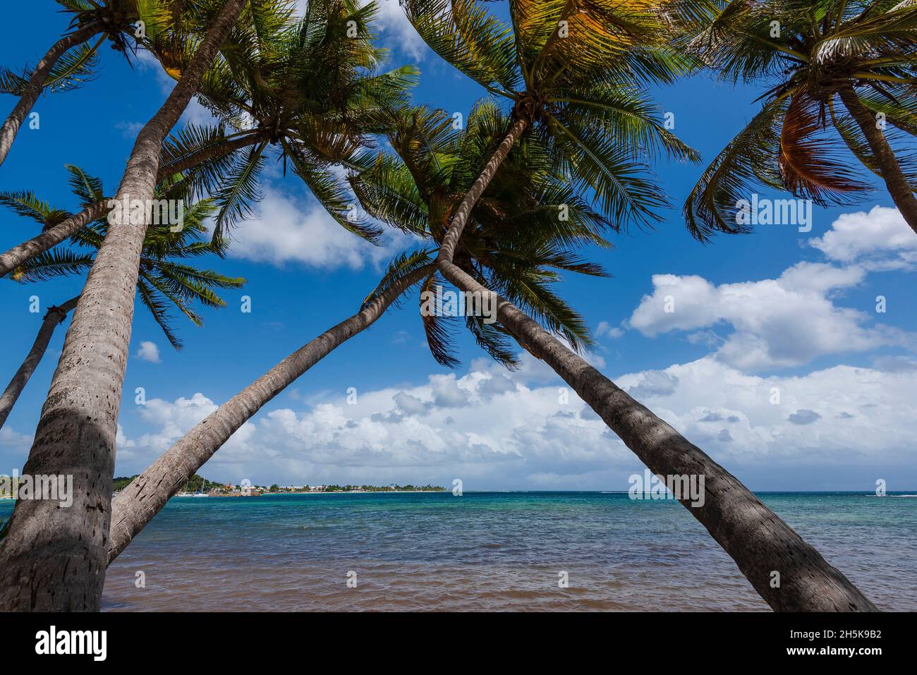 Clouds over la caravelle hi-res stock photography and images - Alamy