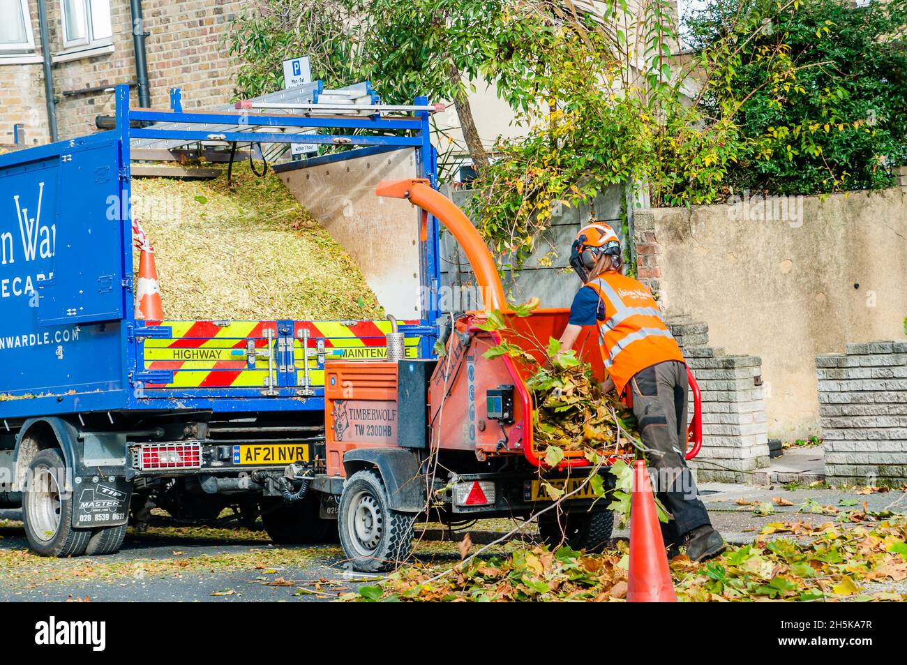 Wood chipper blowing tree branches cut A tree chipper or wood chipper ...