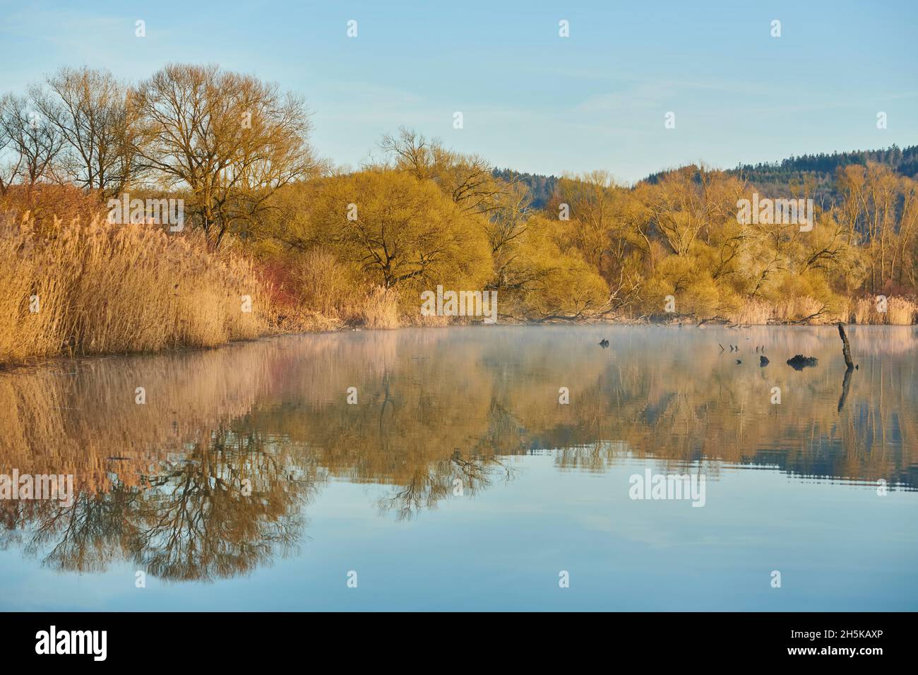 Danubia region hi-res stock photography and images - Alamy