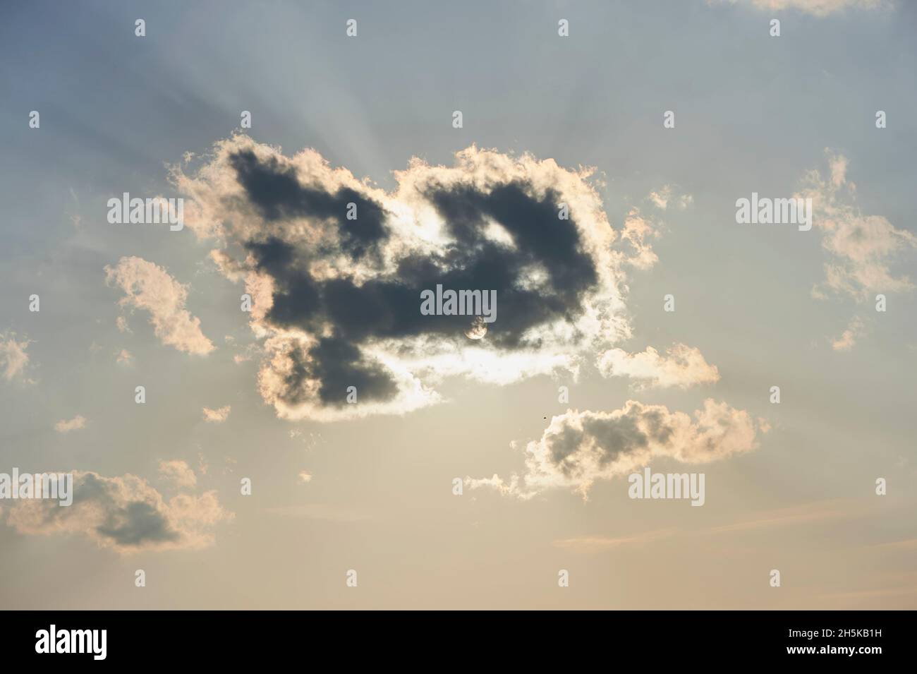 Our little ray of sunshine hi-res stock photography and images - Alamy