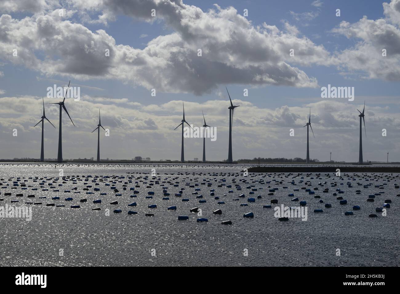 Wind turbine sea mussels hi-res stock photography and images - Alamy