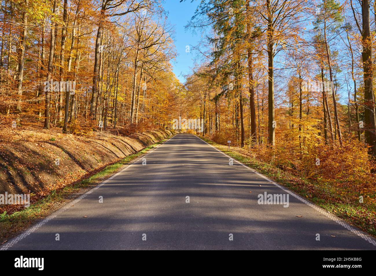 Road leading through a forest in autumn coloured foliage; Spessart ...