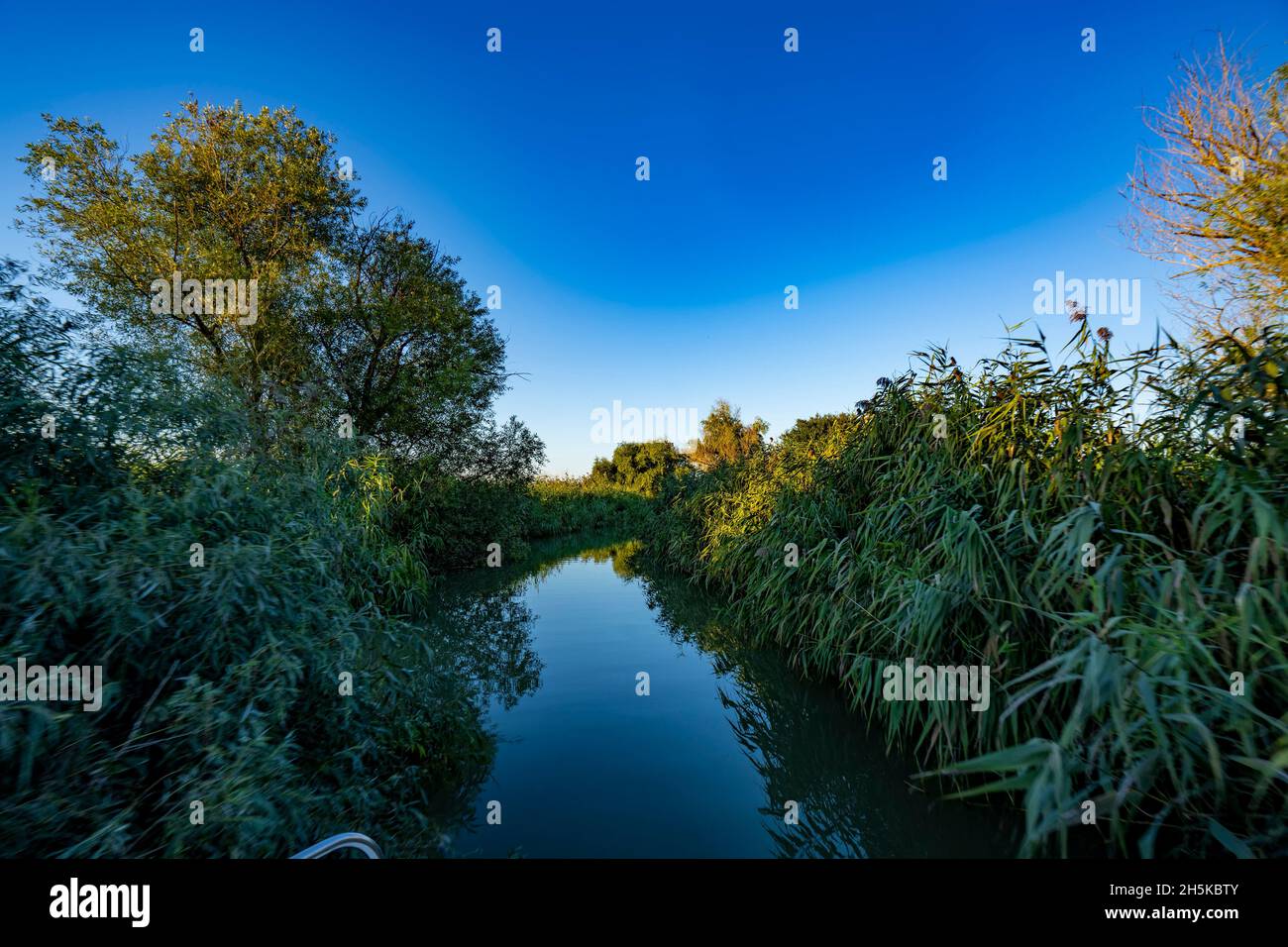 Delta dunaril hi-res stock photography and images - Alamy