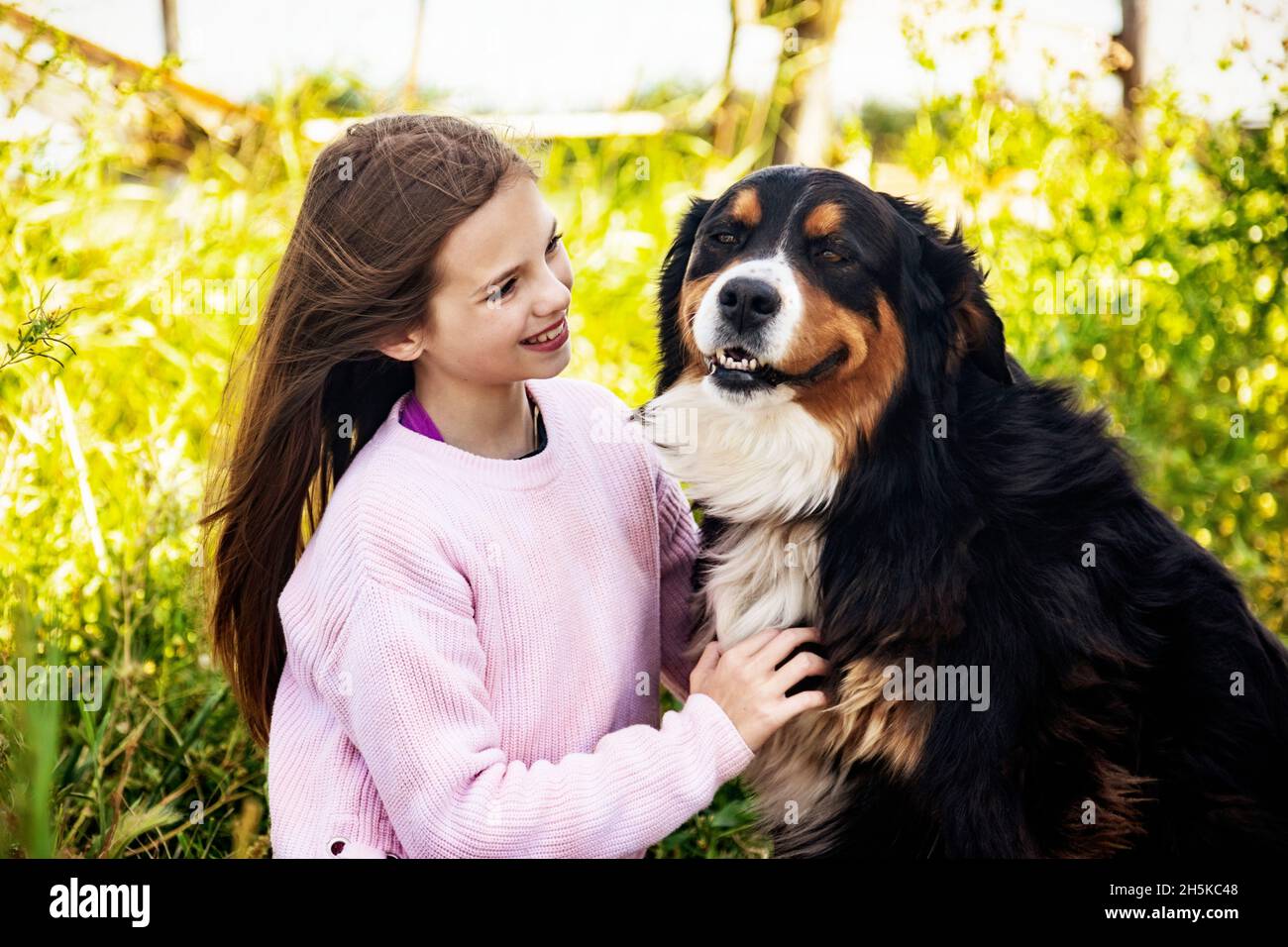 Young girl with her dog on a farm; Alcomdale, Alberta, Canada Stock ...