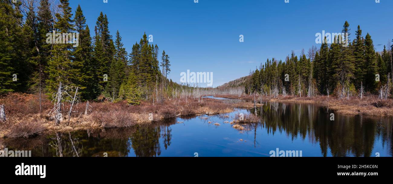 Monts-Valin National Park, in the Saguenay–Lac-Saint-Jean Region of ...