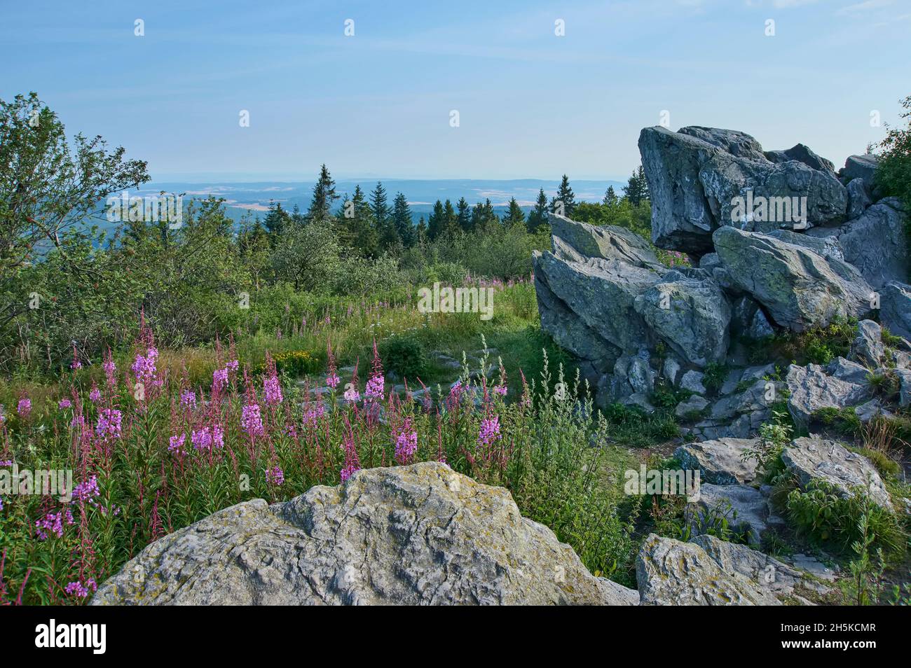 Brunhildis Rock, Great Feldberg in the Taunus Mountains; Taunus Region ...