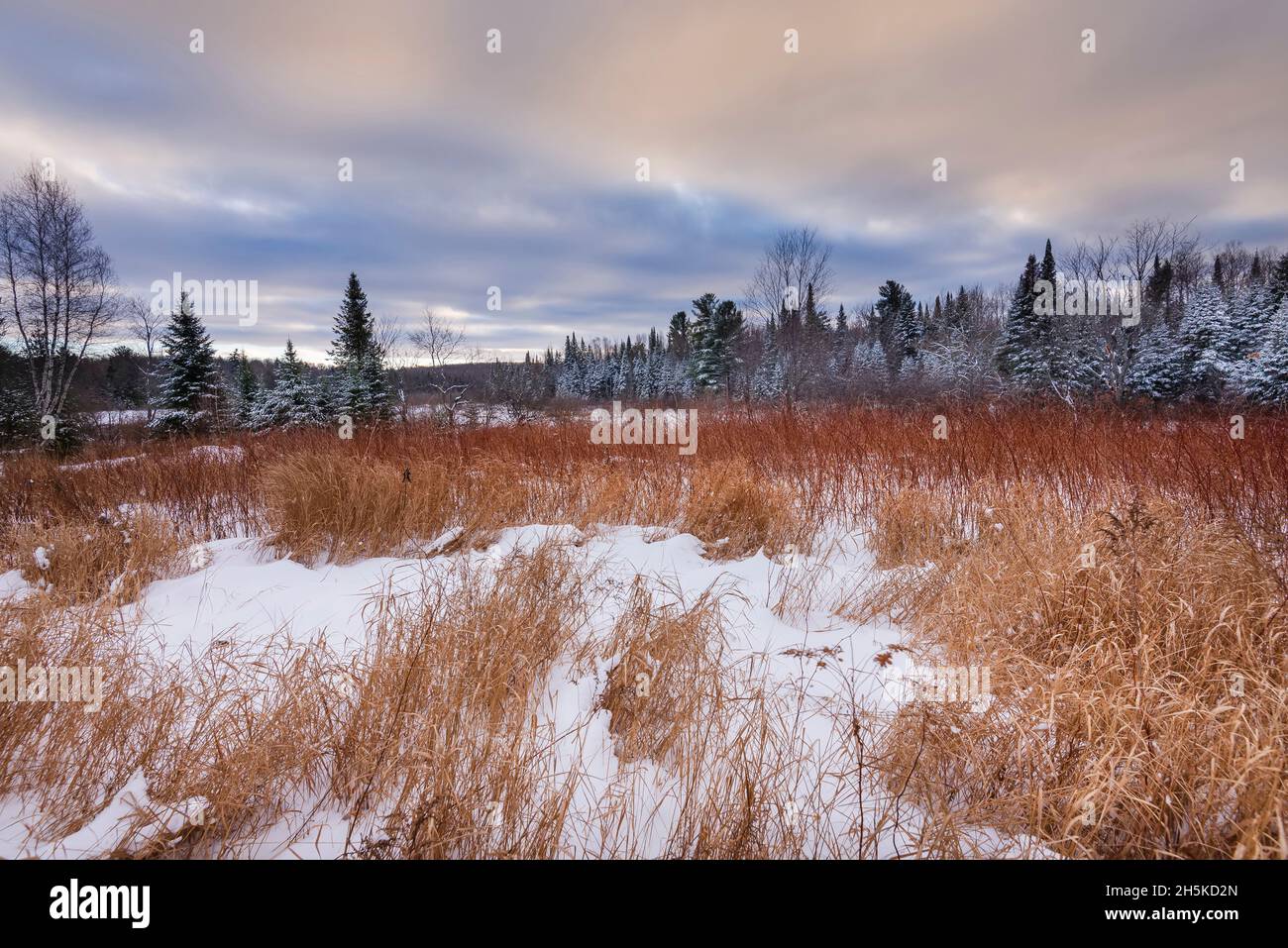 Canadian Shield Winter Landscape Canadian Shield Hi Res Stock