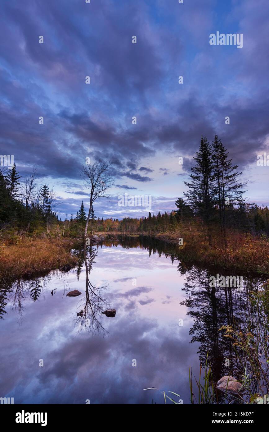Autumn coloured foliage of a forest reflected in a tranquil lake in the ...