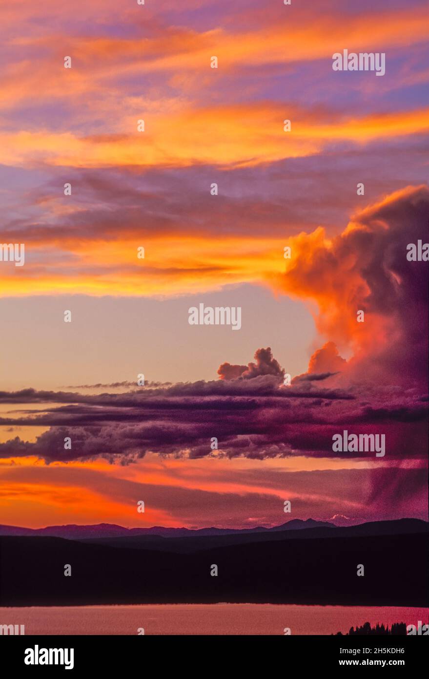 Cumulus clouds at sunset Stock Photo - Alamy