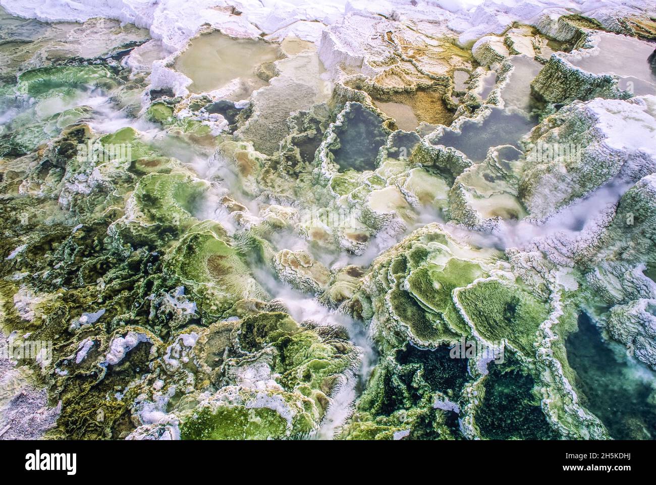 Terraced mineral deposits and steam vapors of Minerva Terrace at the ...