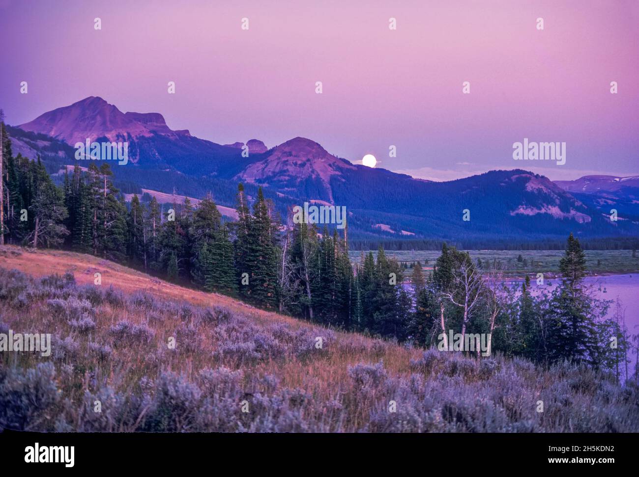 The full moon above Yellowstone Lake and Colter Peak Stock Photo - Alamy