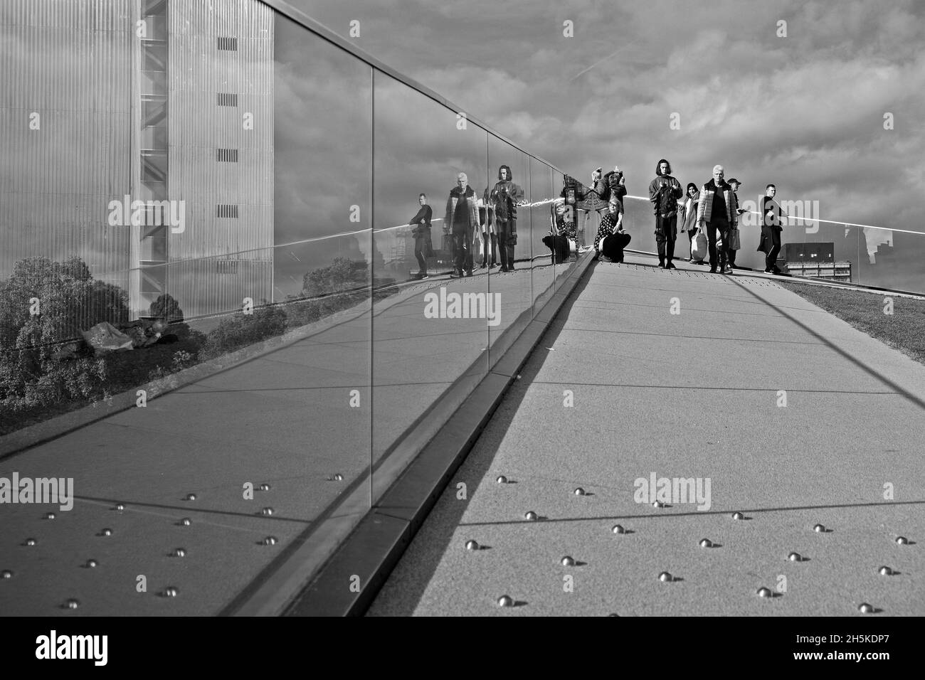 The green roof of the Kö Bogen II in the centre of Düsseldorf. A ...