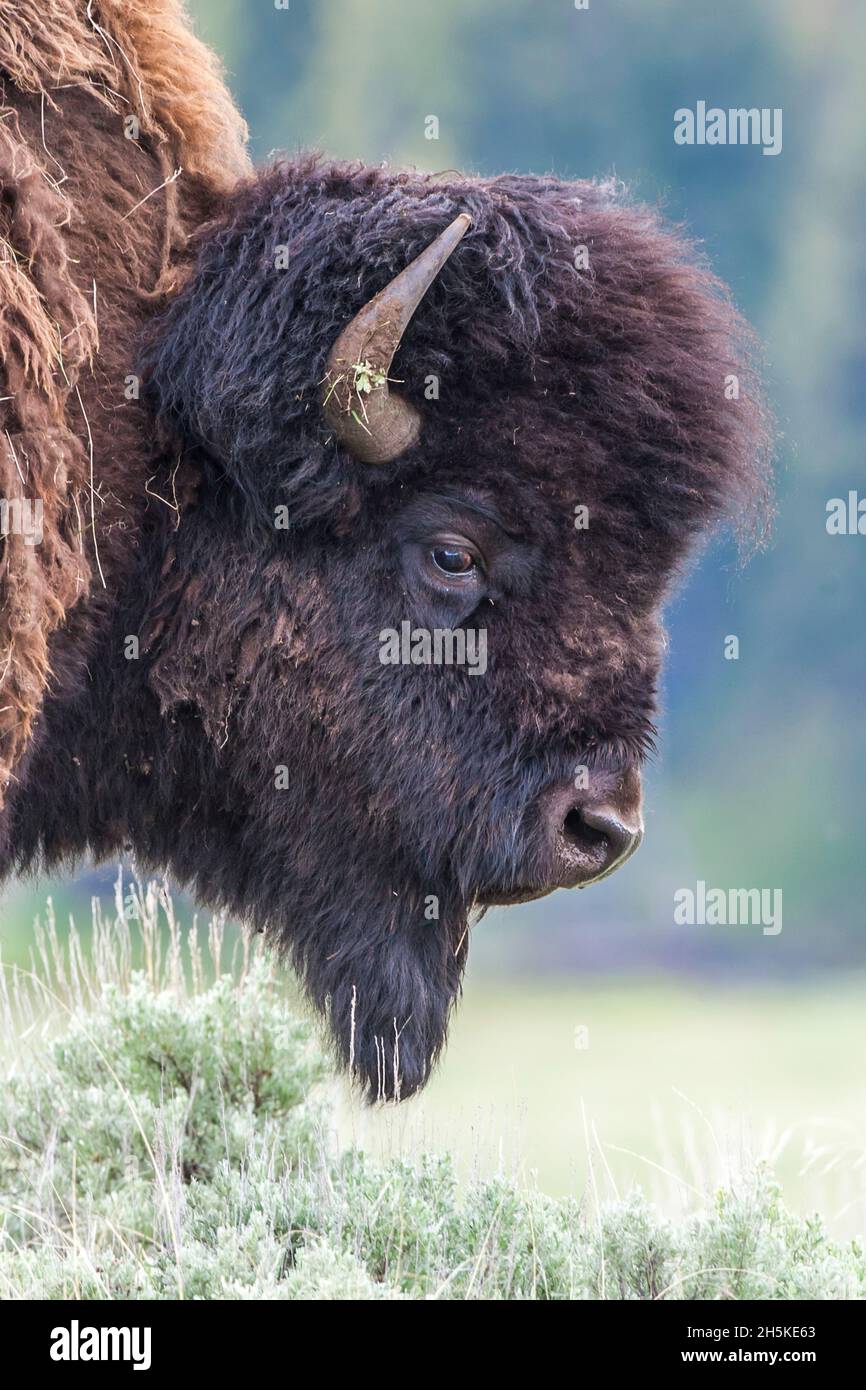 Side eye icon hi-res stock photography and images - Alamy