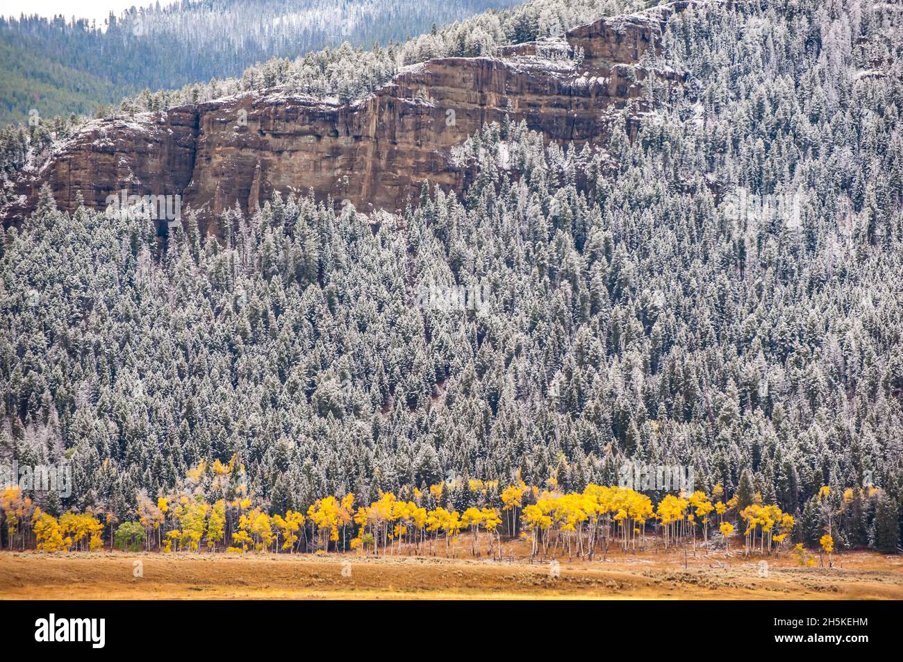 Landscape of a forest with a fresh dusting of snow Stock Photo - Alamy