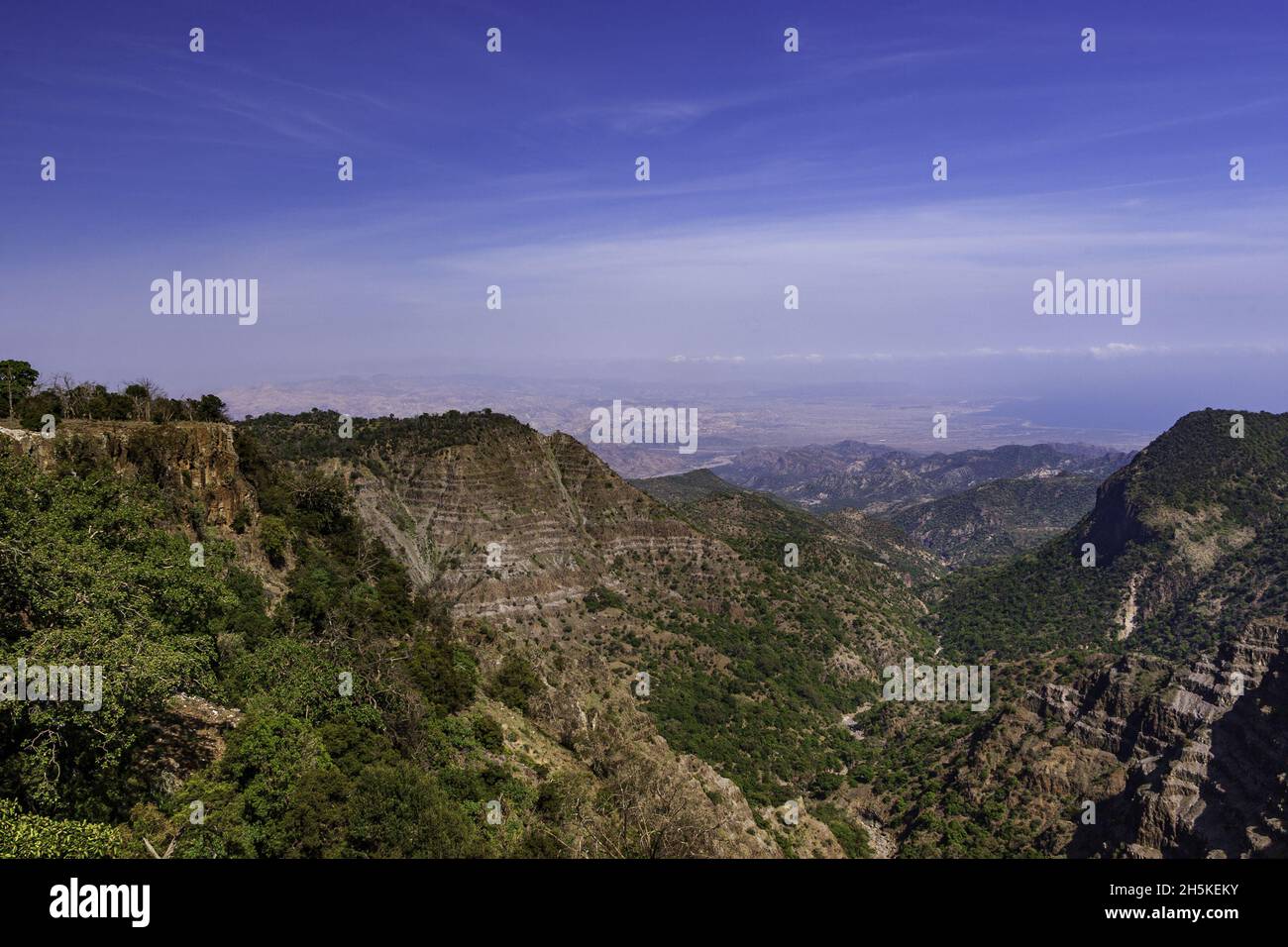 Scenic view from Day Forest National Park in Djibouti Stock Photo - Alamy