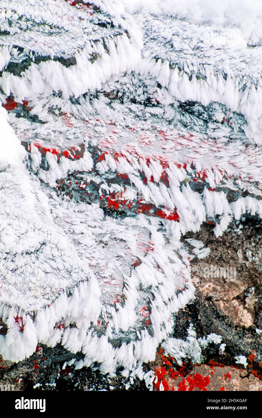 Overflow from Sawmill Geyser runs down a sinter-lined channel to the ...