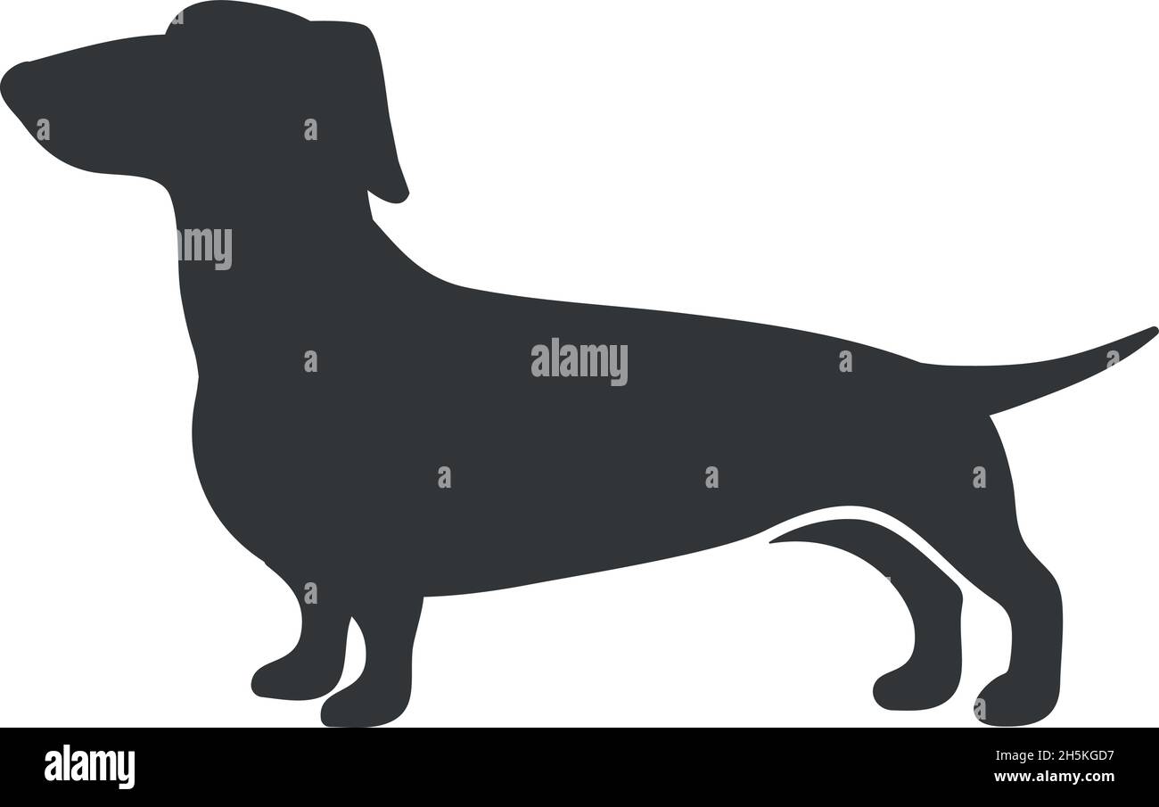 Dachshund silhouette. Sausage hunting dog breed, dachschund long size ...