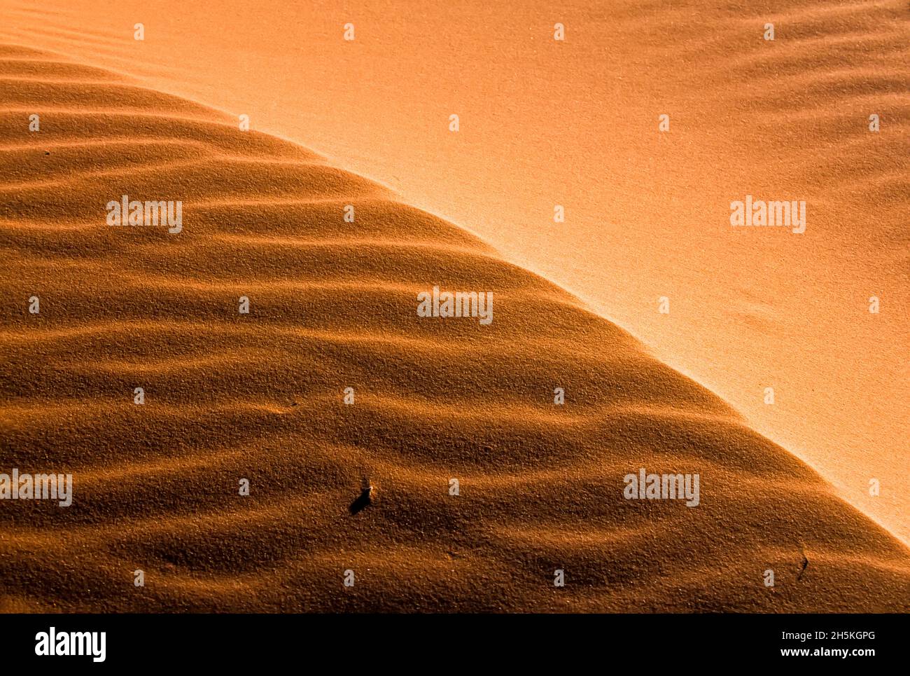Ripple patterns in the red sand in Grand Staircase–Escalante National ...