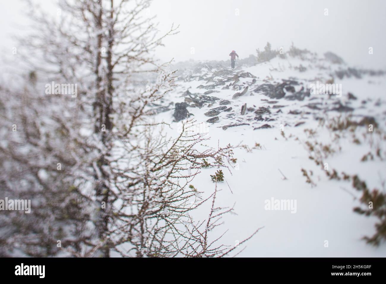 Harsh weather hi-res stock photography and images - Alamy