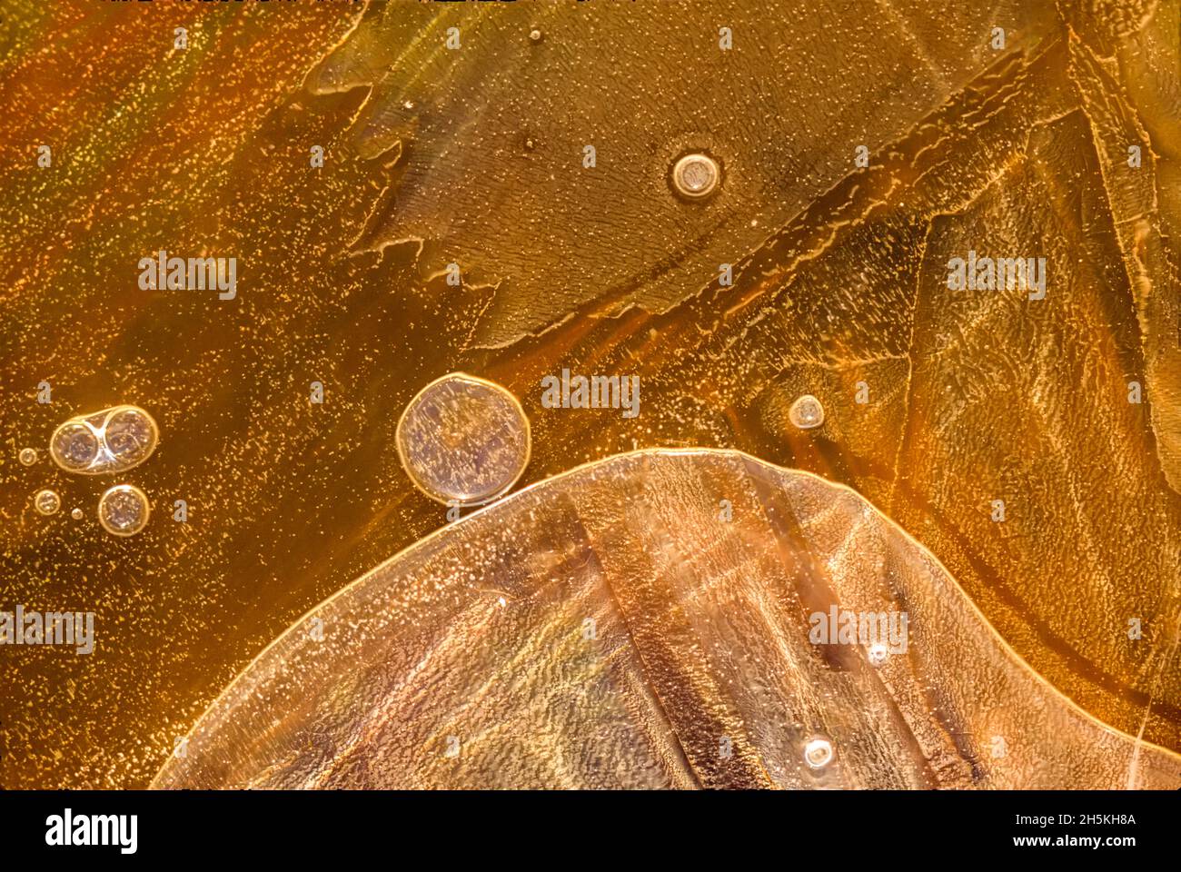 Frozen mud hi-res stock photography and images - Alamy