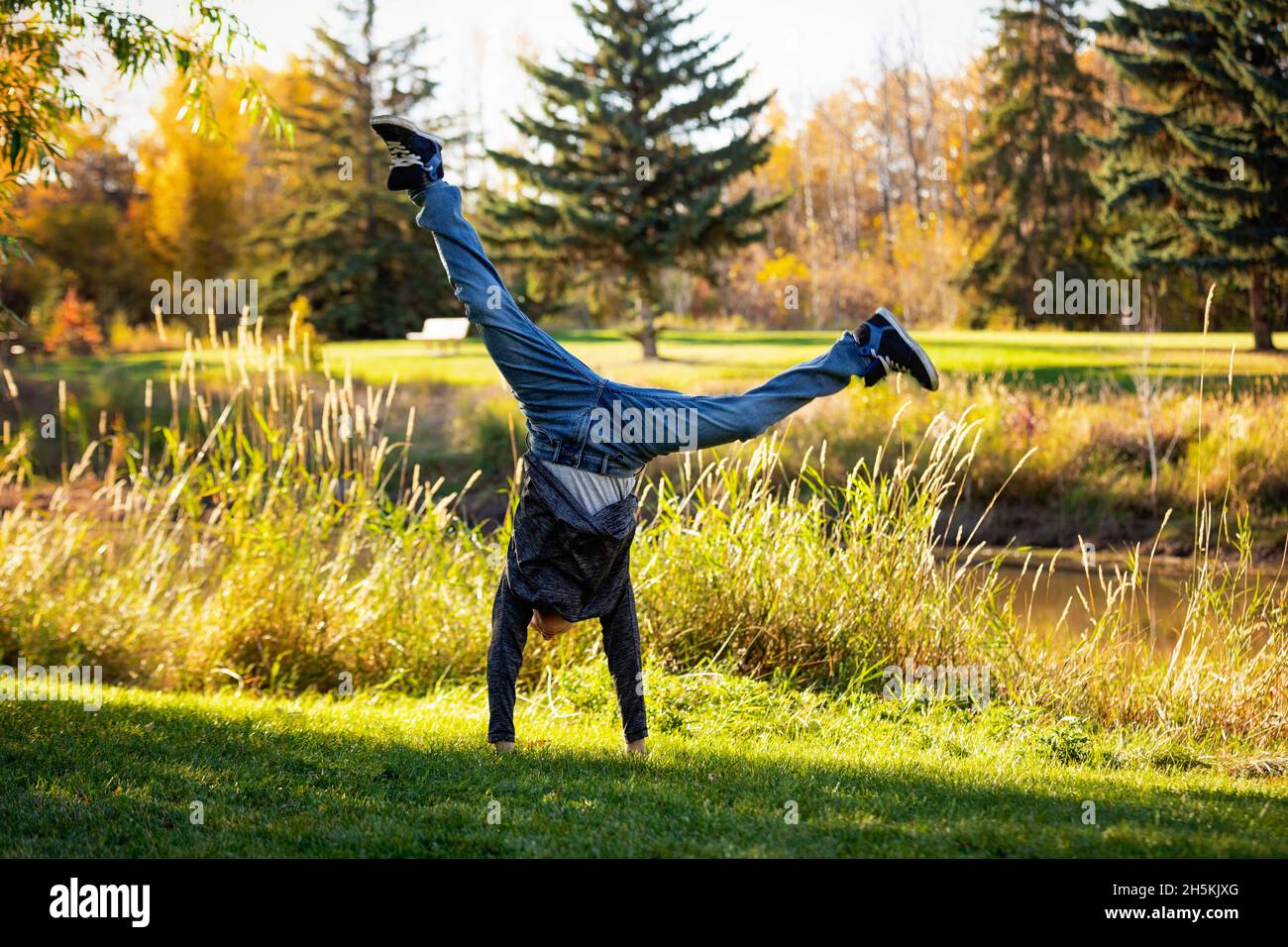 Boy doing a cartwheel in a park with autumn colours; St. Albert ...