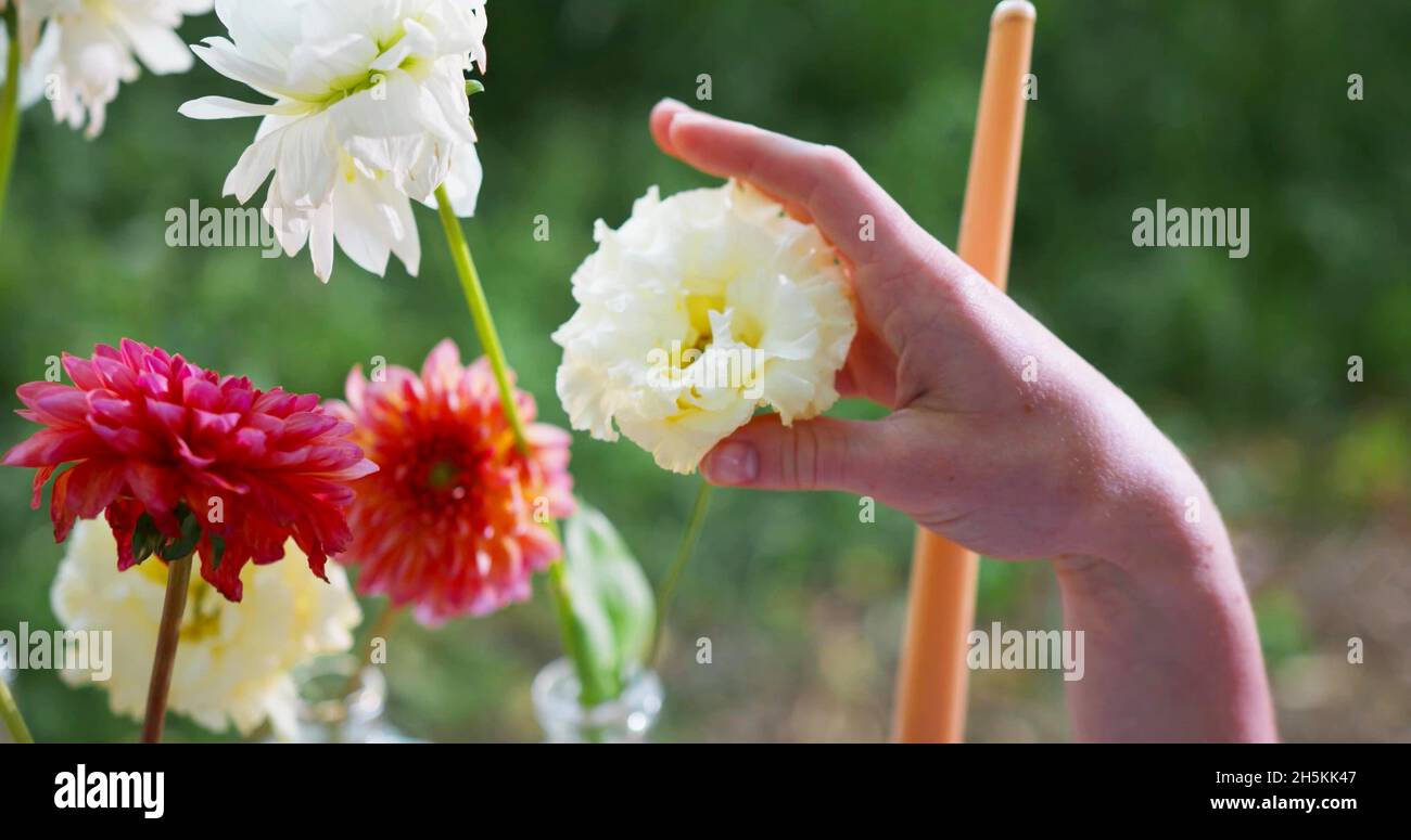 A hand is touching a flower Stock Photo - Alamy