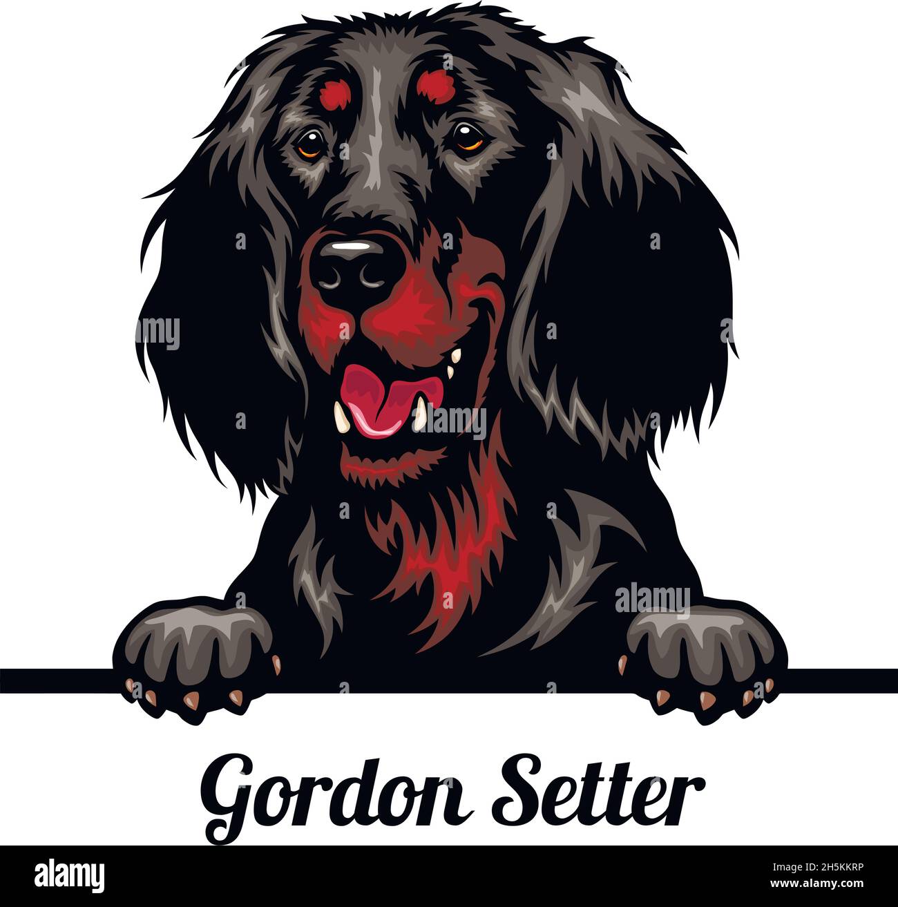 Gordon Setter - Color Peeking Dogs - dog breed. Color image of a dogs ...