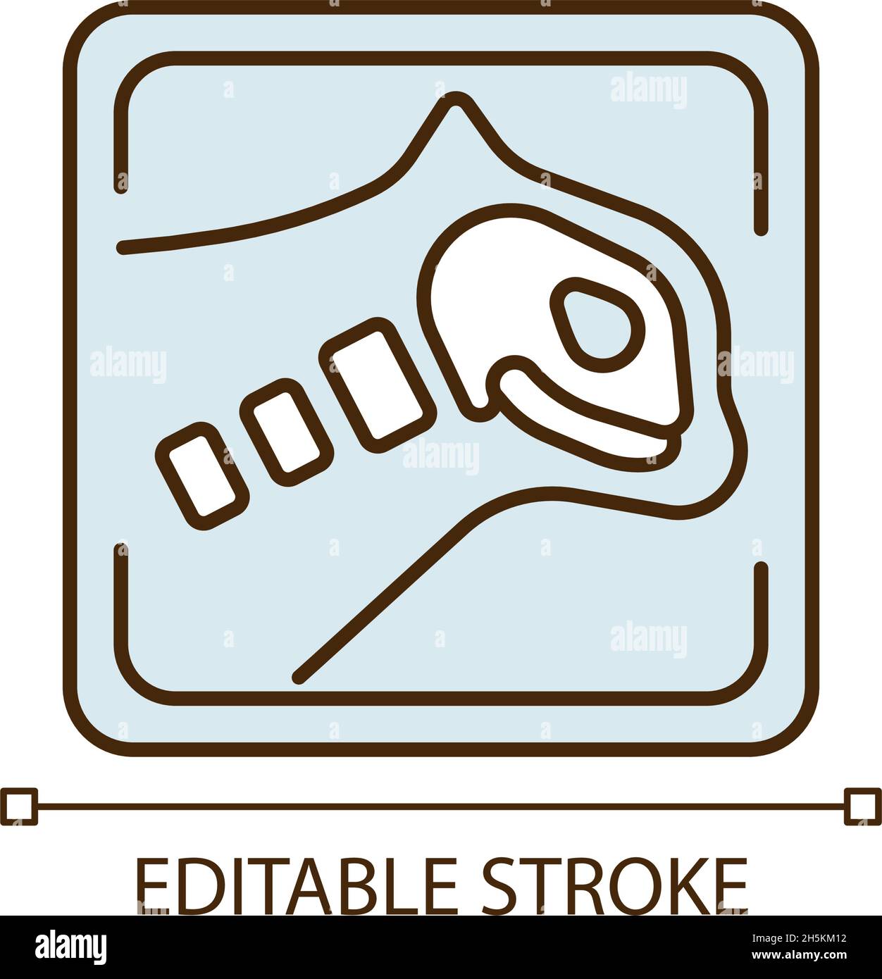 Pet x rays RGB color icon Stock Vector Image & Art - Alamy