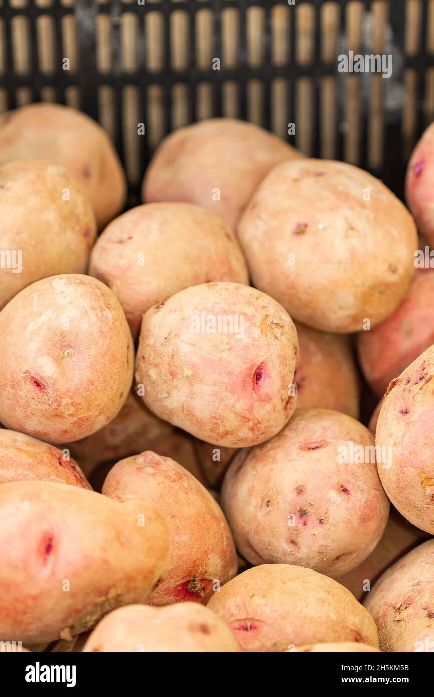 Vertical shot of bulk new potatoes in a box Stock Photo - Alamy