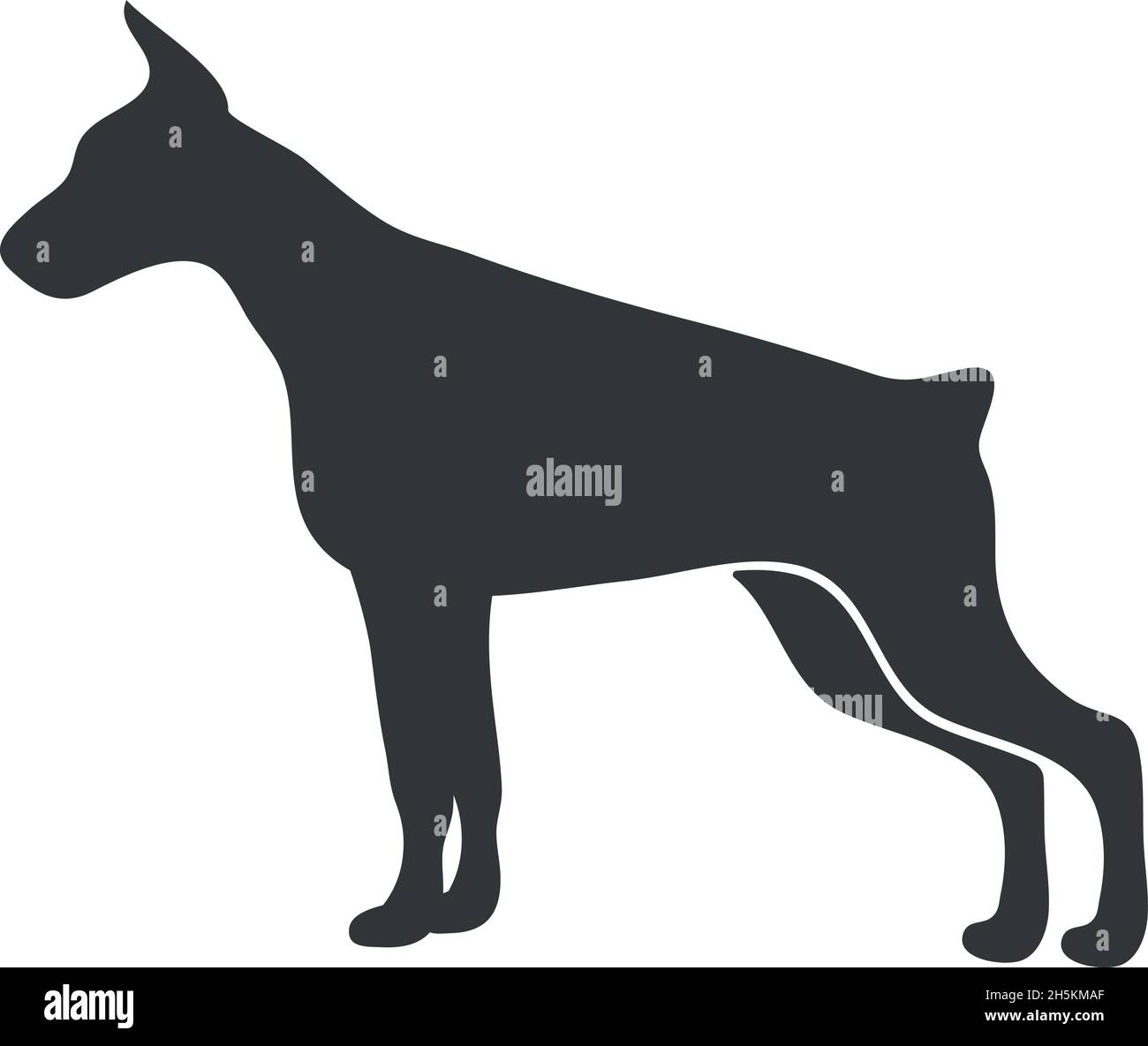 Doberman silhouette. pedigree shorthaired beast running dog, vector ...