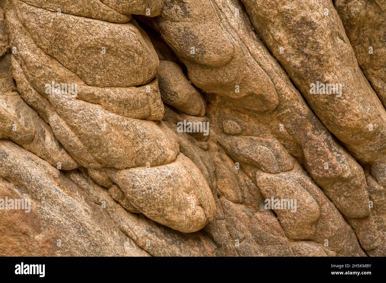 Metamorphic rock dating to PreCambrian period Stock Photo - Alamy