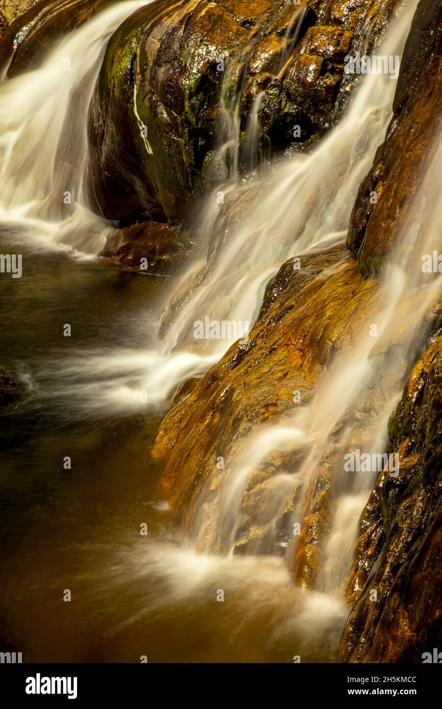 Orange tinted hi-res stock photography and images - Alamy