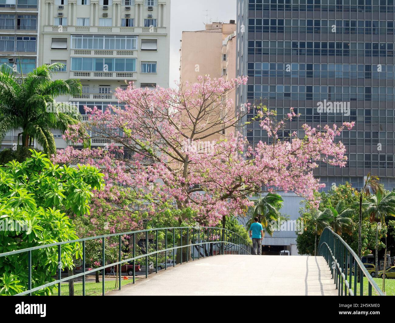 Rio de Janeiro the Flamengo park Stock Photo - Alamy