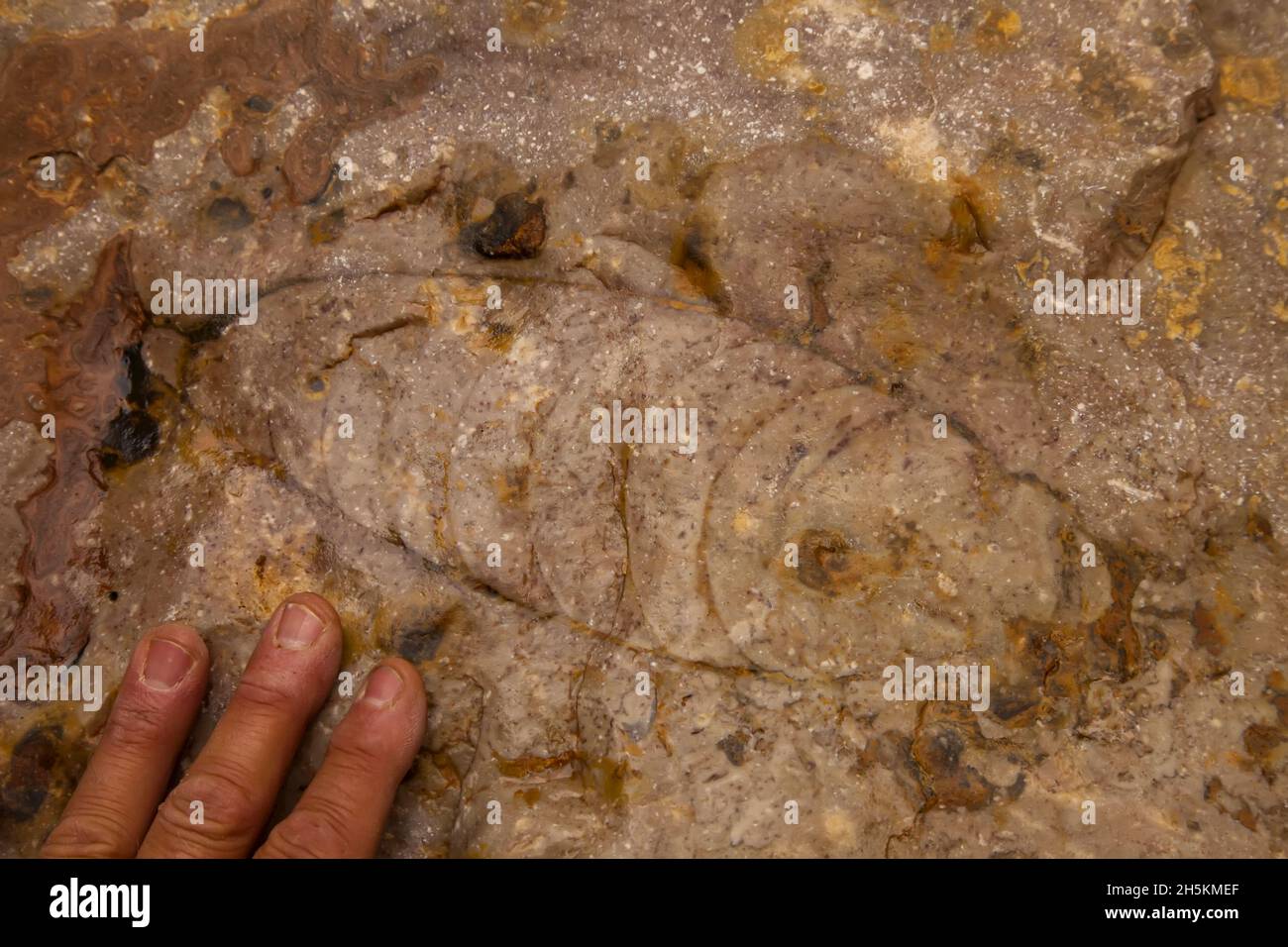 Red_wall hi-res stock photography and images - Alamy