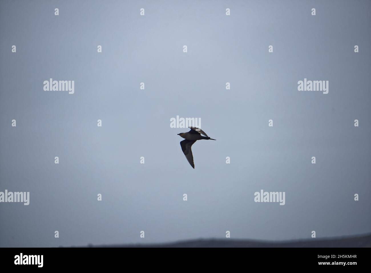 Seljalandsfoss waterfall plunging 60m from the cliff above, Sudhurland ...
