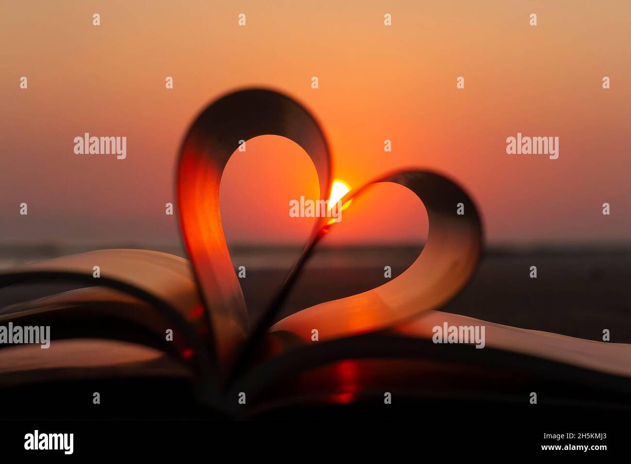 Heart from a book page against a beautiful sunset Stock Photo - Alamy