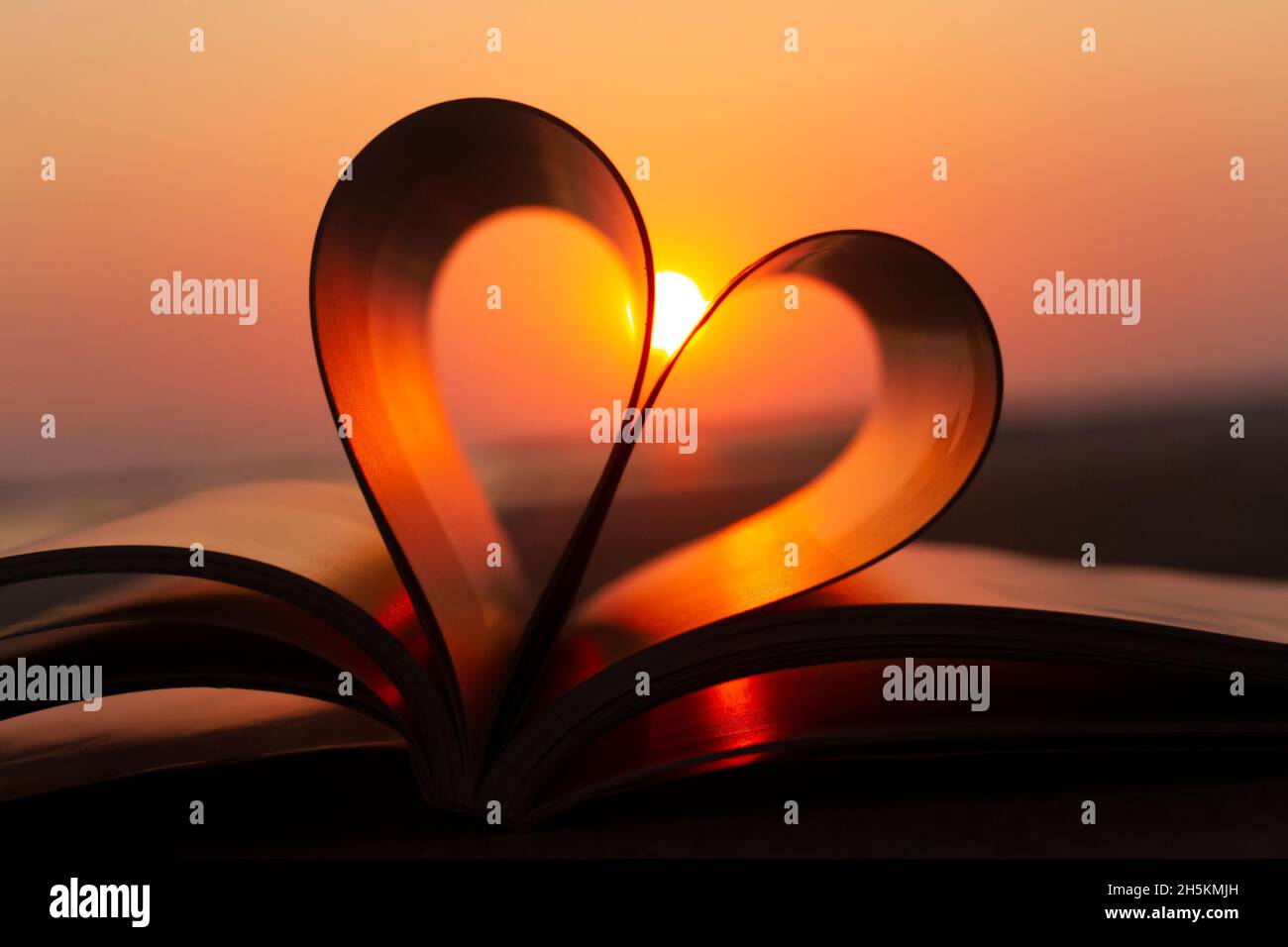 Shape of book hi-res stock photography and images - Alamy