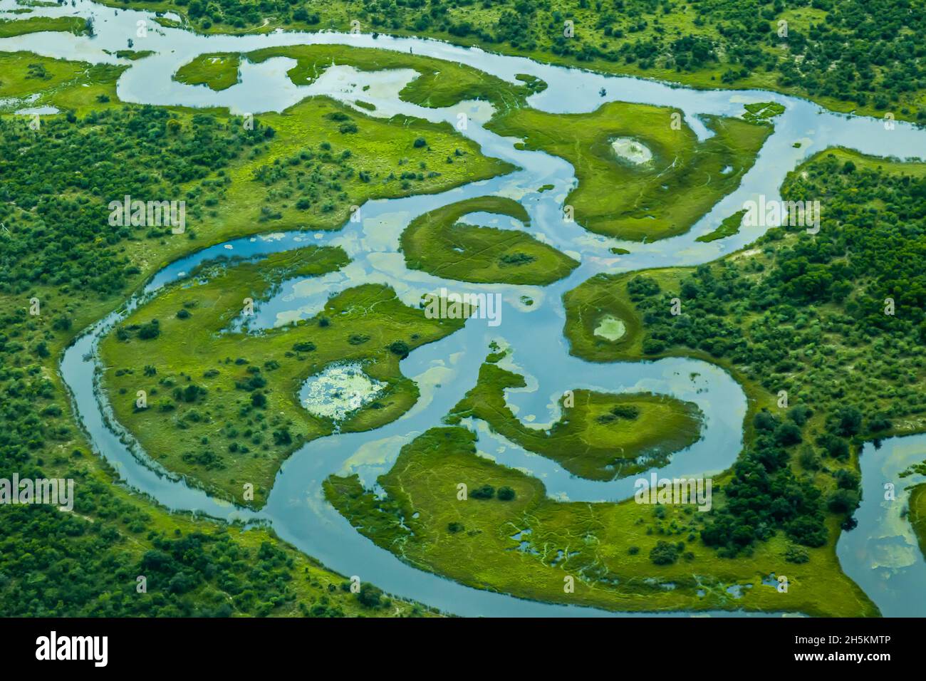 Winding oxbow lakes in a lush green landscape Stock Photo - Alamy