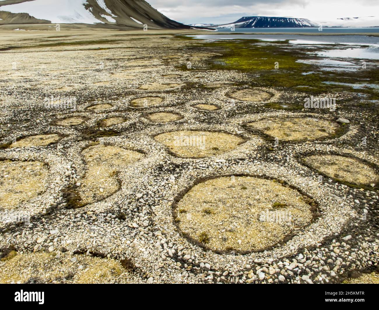 Permafrost forms a patterned landscape Stock Photo - Alamy