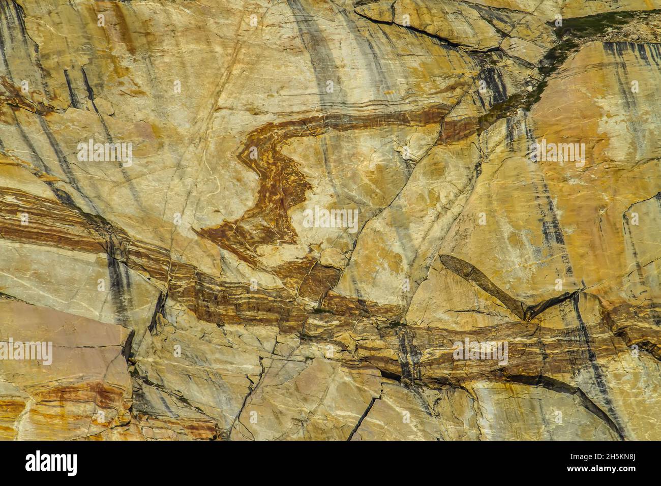 Close up of a metamorphic rock sample Stock Photo - Alamy