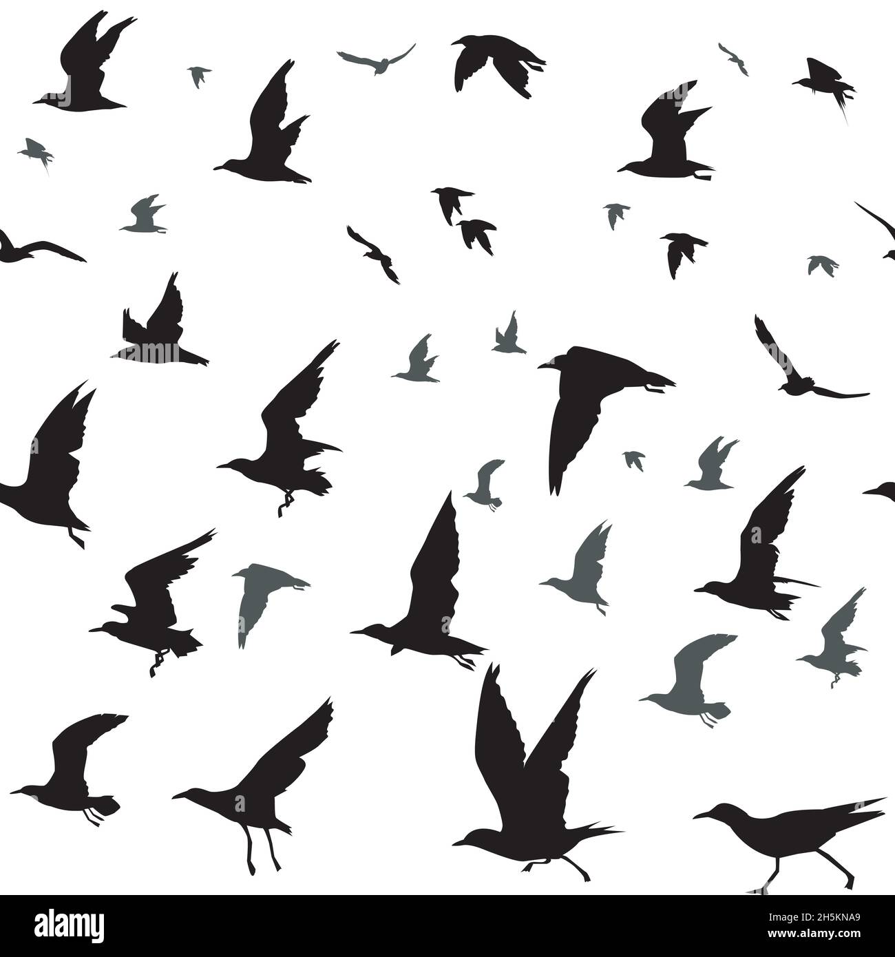 Seamless background with flying birds Stock Vector Image & Art - Alamy