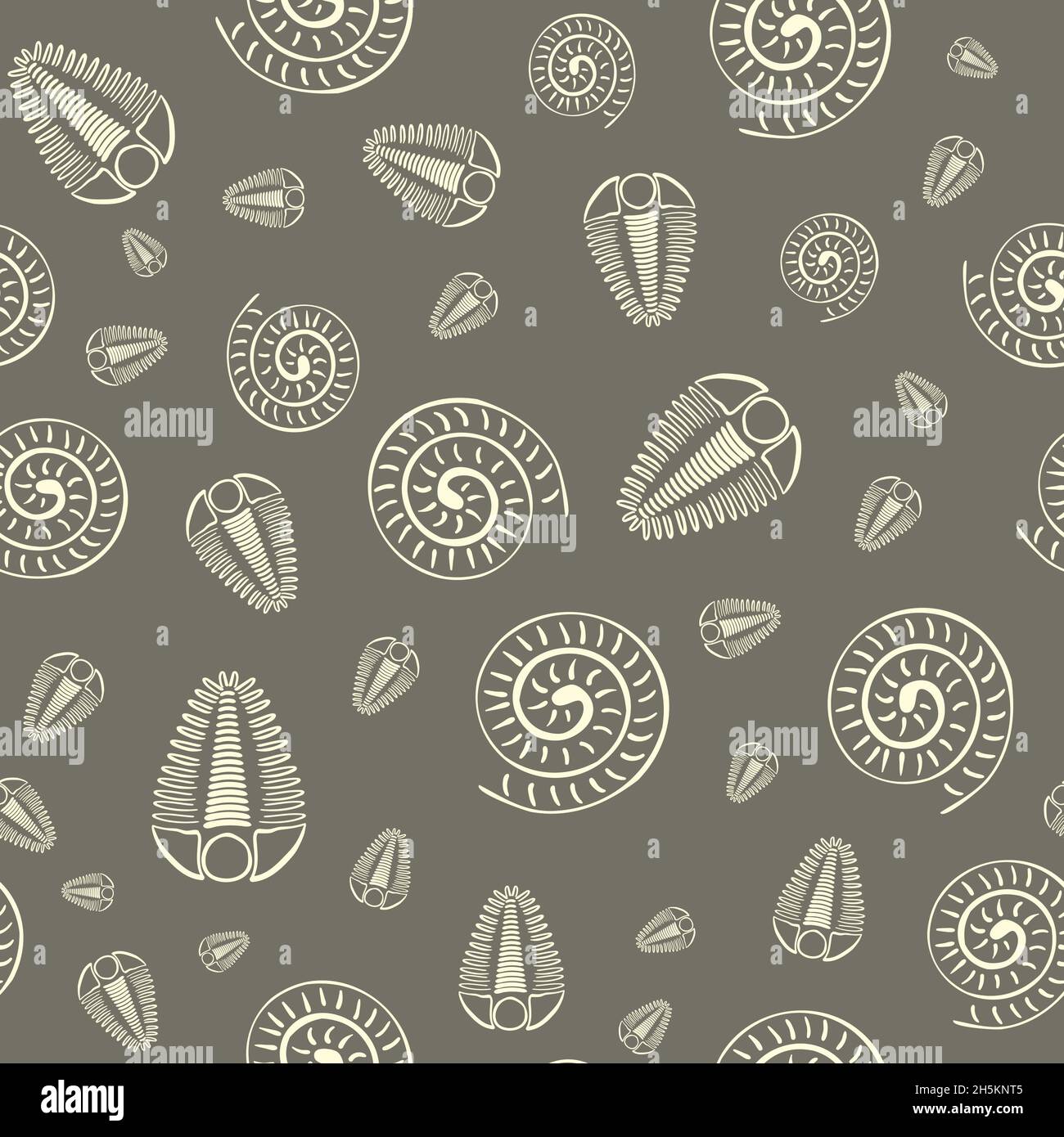 Ammonite trilobite vector seamless pattern background. Hand drawn ...