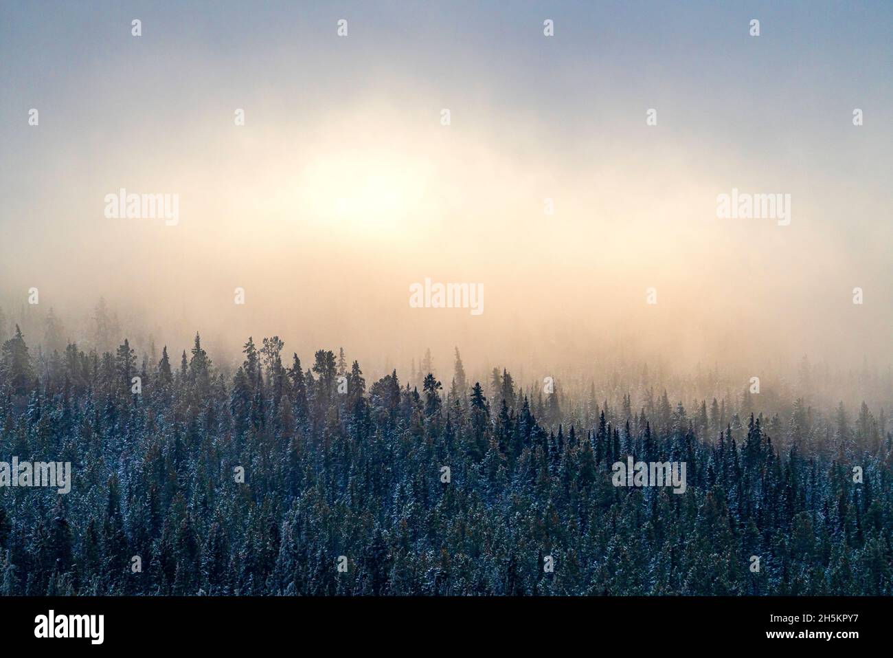 Wintery landscape with sun glowing through the cloud over a frosty ...
