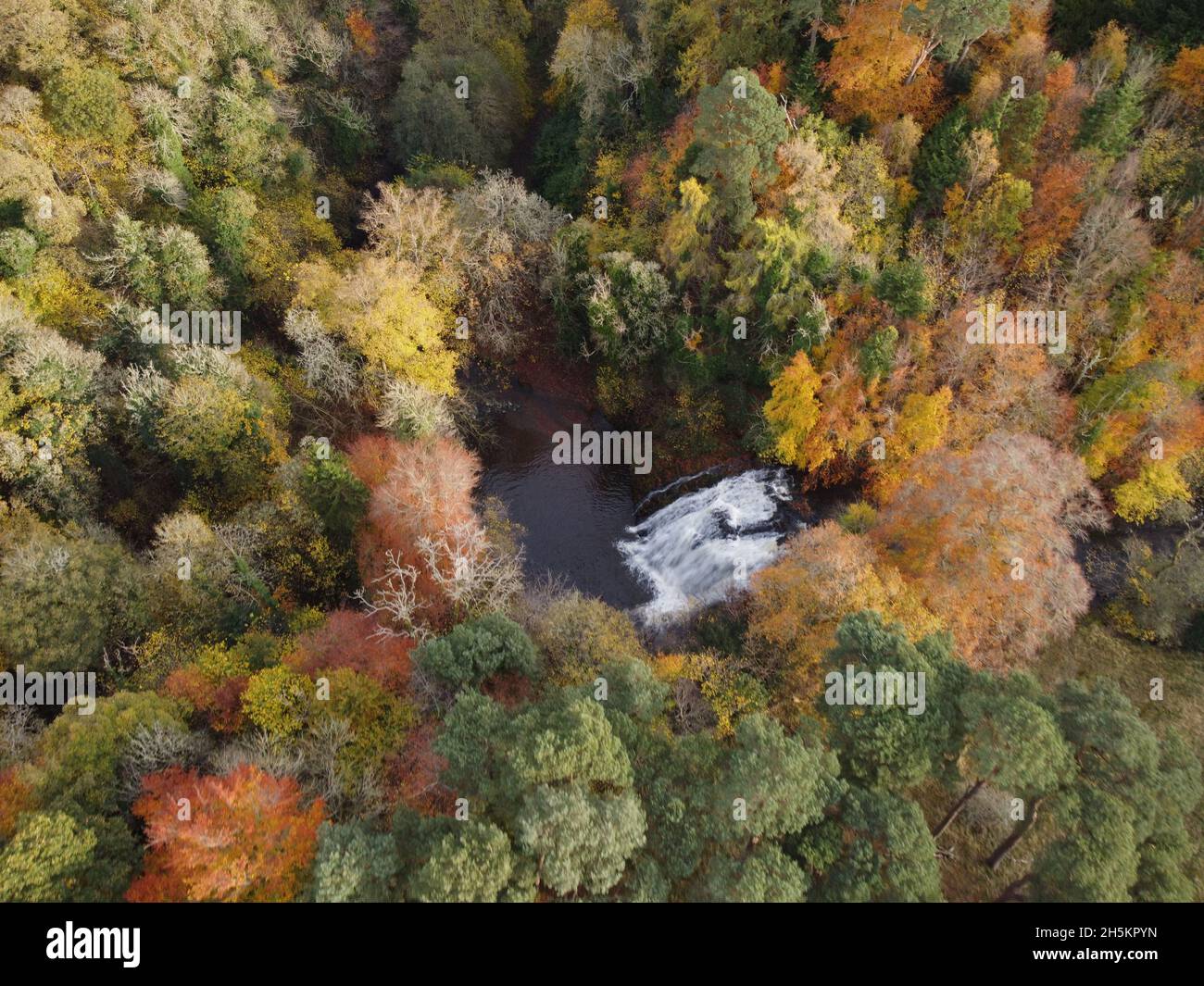 Kelso, UK. 10th Nov, 2021. Kelso, UK, Wednesday 10 November 2021 ...