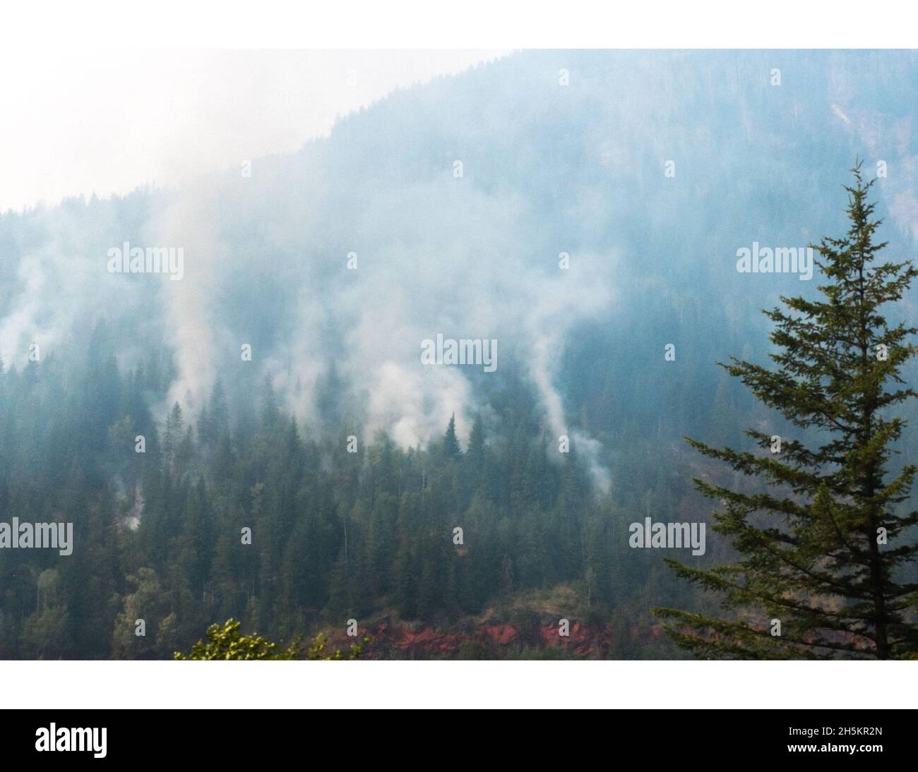 Random fires burning near Three Valley Gap, BC, Canada during the 2021 ...