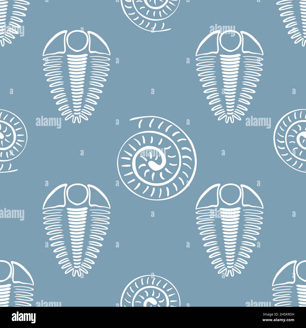Ammonite trilobite vector seamless pattern background. Hand drawn ...