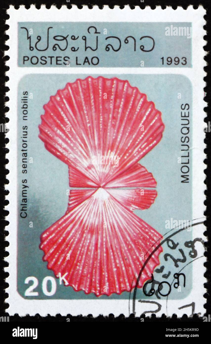 LAOS - CIRCA 1993: a stamp printed in Laos shows chlamys senatorius ...