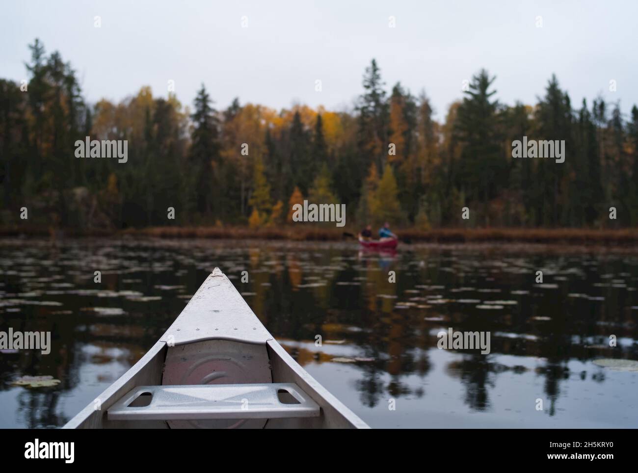 Canoeing in the boundary waters in the Fall Stock Photo - Alamy