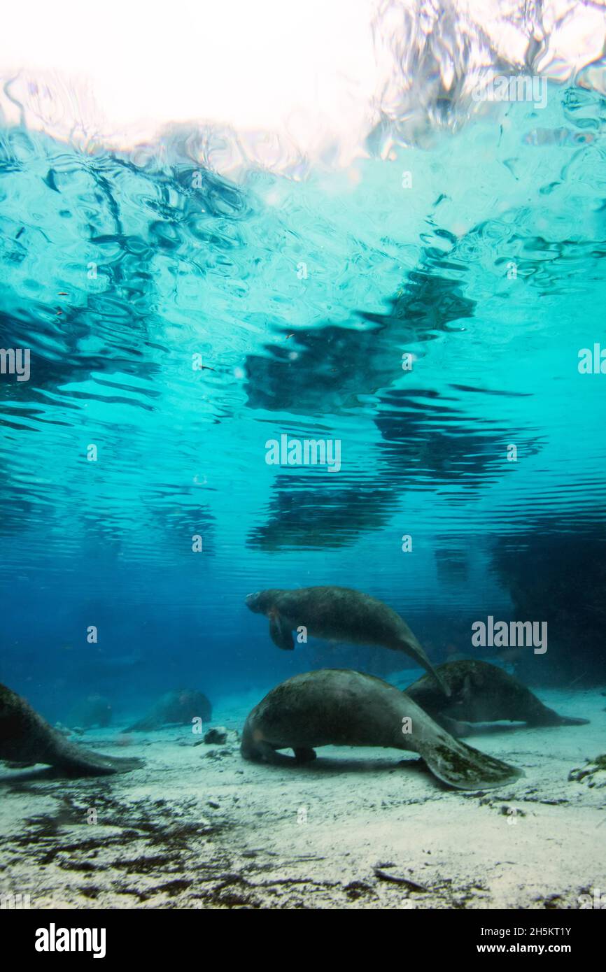 Safety of the shallows hi-res stock photography and images - Alamy