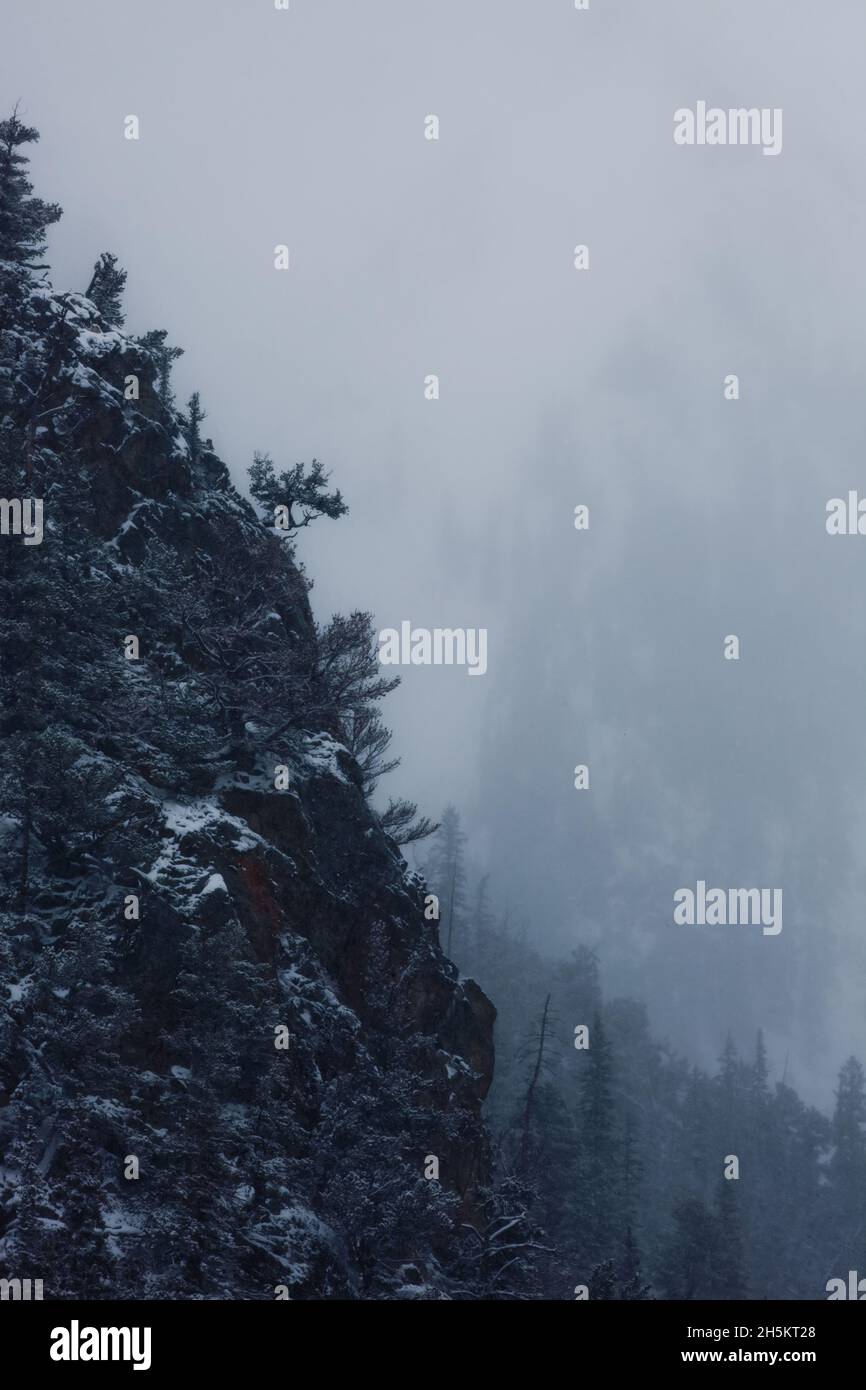 New snow and fog on canyon walls Stock Photo - Alamy